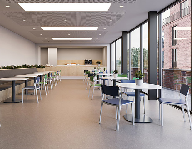 Ryno® Bench - Pineapple Furniture